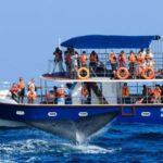 Mirissa: Whale & Dolphin Watching Trip with Private Transfer - Why Travelers Love This Tour