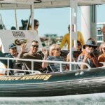 Mooloolaba: 2-Hour Whale Watching Adventure - The Details That Matter