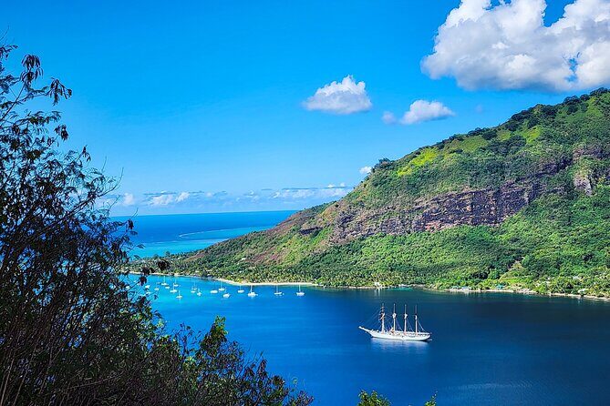 Moorea Full-Day Hiking Experience  Private Shore Tour - A Deep Dive Into Moorea’s Full-Day Hiking Experience