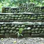 Moorea Highlights Private Tour: Natural and Cultural Attraction - Who Will Appreciate This Tour Most?