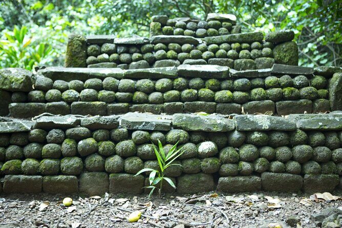 Moorea Highlights Private Tour: Natural and Cultural Attraction - Who Will Appreciate This Tour Most?