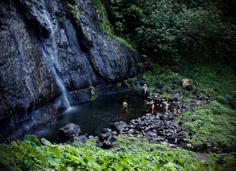 Moorea: Island Tour with Waterfall Hike and Lunch - An In-Depth Look at Moorea’s Waterfall Hike and Scenic Tour