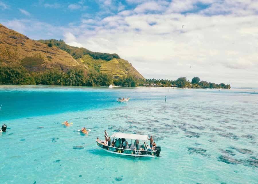 Moorea: Lagoon and Reef Snorkeling Tour with Drinks - An Authentic, Well-Organized Adventure