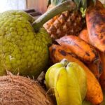 Moorea Tahitian Cooking Class - The Itinerary Breakdown