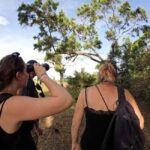 Morning Nature Walk in Bundala Village - Who Should Consider This Tour?