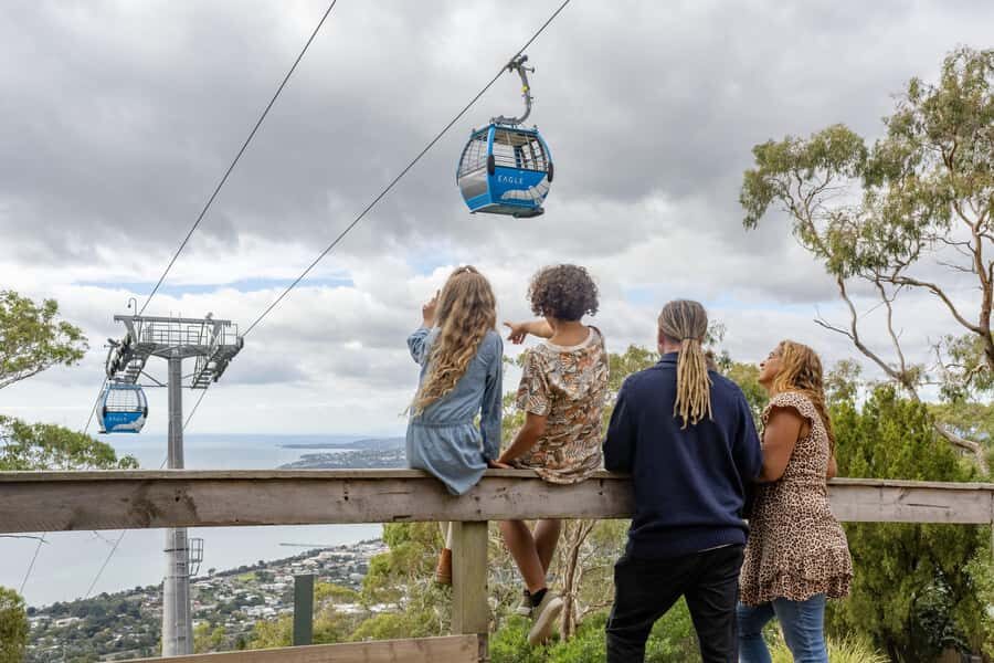 Mornington Peninsula Luxury Day Escape - What Makes This Tour Stand Out?