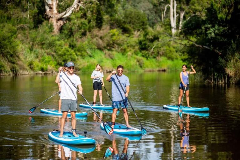 Mornington Peninsula: SUP & Snorkel Safari Tour incl Brunch - Why This Tour Offers Great Value