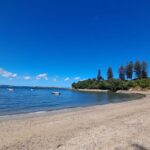 Motuihe Island Day Trip Ferry from Auckland - Key Points