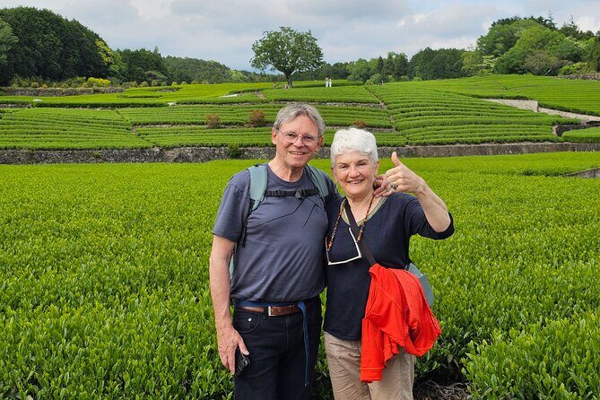 Mount Fuji E-Bike Tour: Explore Nature and History - Who Will Enjoy This Tour?