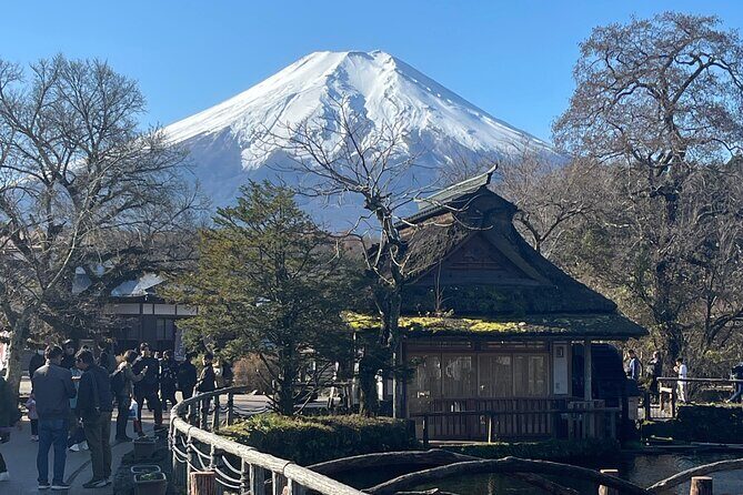 Mount Fuji Full Day Customize Private Tour with English Guide - What Travelers Say
