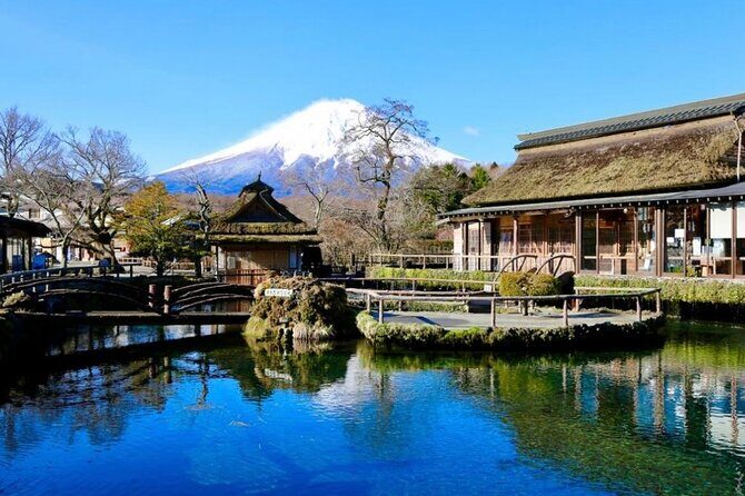 Mount Fuji Full Day Customized Private Tour with English Guide - The Practicalities