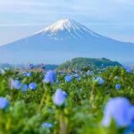 Mt. Fuji Tour: Lake Kawaguchiko Ropeway,Matcha,Oshino Hakkai - Practical Considerations and Tips
