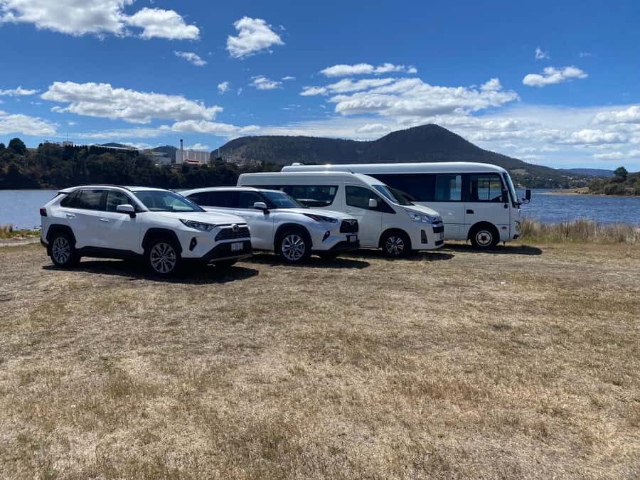 Mt Wellington & Hobart: Shore Excursion (Private Tour) - What to Expect from the Transportation