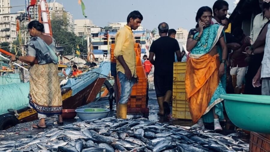 Mumbai: Private Full-Day City Sightseeing tour - Why This Tour Works for Travelers