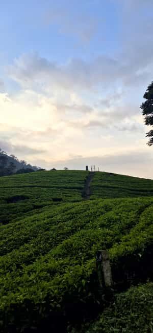 Munnar: Anakulam Jeep Safari with Waterfall and Elephant - Authentic Experiences and the Value of This Tour