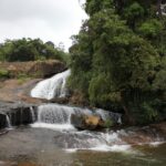 Munnar: Tea Garden and Elephant Safari Trip by 4x4 - The Practical Side: What This Tour Means for You