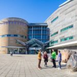 Museum of NZ Te Papa Tongarewa: Art Narratives Tour - Practical Tips for Travelers