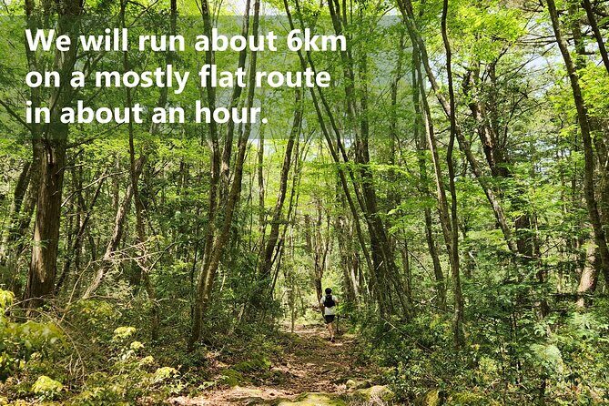 Mystical Fuji Forest Guide Running Trip (Shoe Rental Included) - Authentic Perspectives from Past Participants