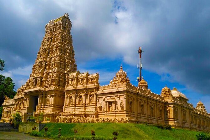 Mystical Nights: Fireflies & Blue Tears Adventure - Practical Details and Tips for Travelers