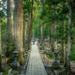 Nachi Waterfall, Mount Koya & Wakayama Tour with Two Options - Exploring the Two Tour Options
