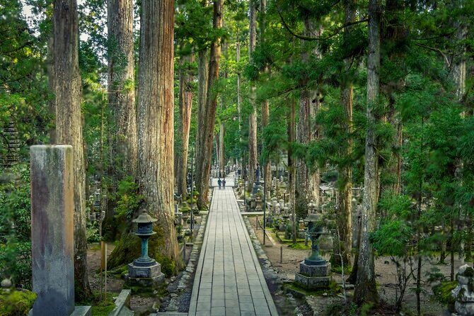 Nachi Waterfall, Mount Koya & Wakayama Tour with Two Options - Exploring the Two Tour Options