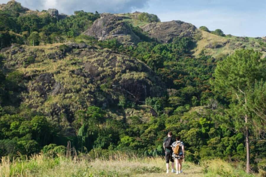 NADI: Exquisite Orchid Garden Tour with Hotspring & Mudpool - The Itinerary Breakdown