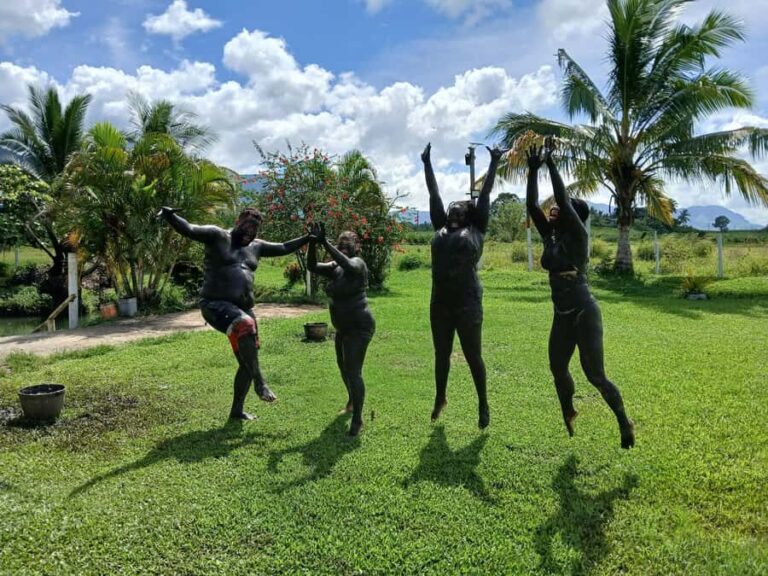 NADI: Sabeto Tifajek Mudpool & Hot Spring Tours & Tickets - The Value of the Tour