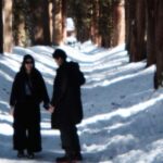 Nagano: Half-Day Private Tour Togakushi Shrine - In-Depth Look at the Itinerary