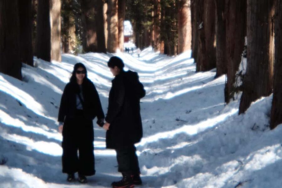 Nagano: Half-Day Private Tour Togakushi Shrine - In-Depth Look at the Itinerary