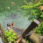 Namua Turtle Island Tour with Snorkeling - Practical Details: What You Need to Know