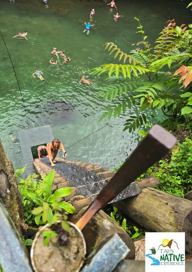 Namua Turtle Island Tour with Snorkeling - Practical Details: What You Need to Know