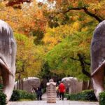 Nanjing Private Flexible Day Tour with Professional Guide and Driver Service - Transportation and Convenience
