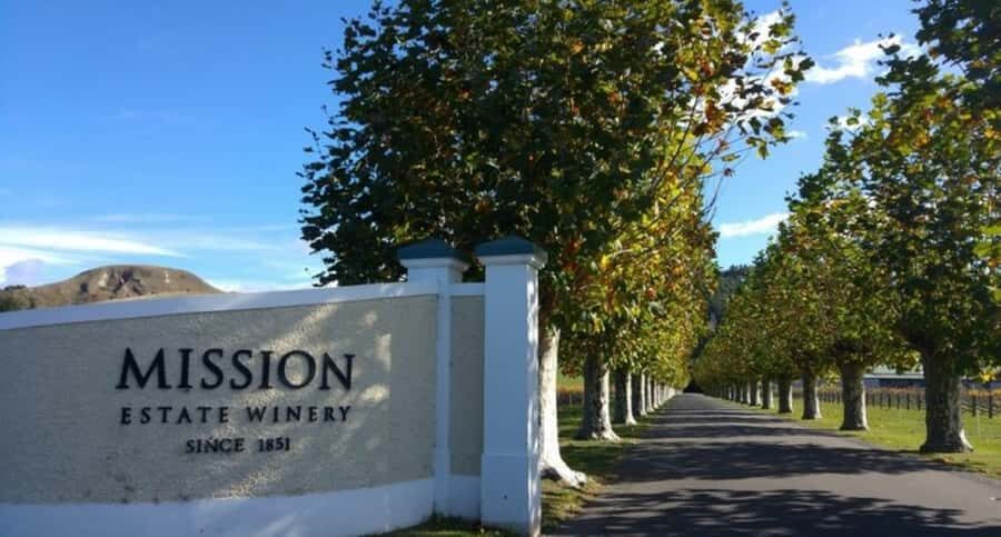 Napier: Afternoon Winery Tour Tasting at 3 Great Wineries - How the Experience Feels