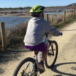 Napier: Art Deco Bike Ride and Wineries Loop - What to Expect on the Tour