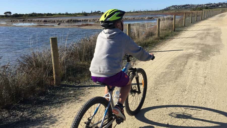 Napier: Art Deco Bike Ride and Wineries Loop - What to Expect on the Tour