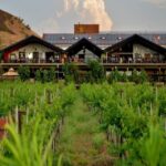 Nashik: Private Full-Day Wine Tour with Tastings From Mumbai - What Sets This Tour Apart