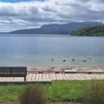 Nature at its best Lake Tarawera Treetop Walk and Forest Spas - Exploring the Itinerary in Detail