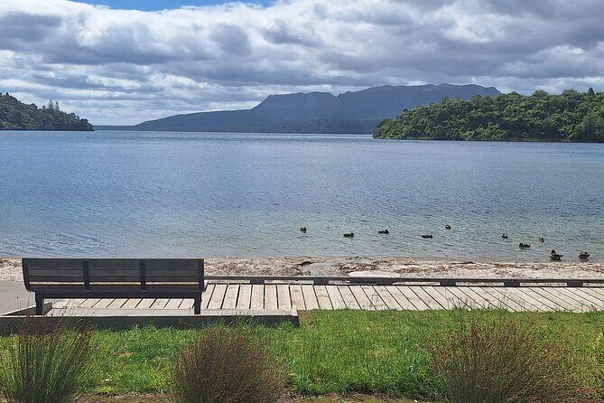 Nature at its best Lake Tarawera Treetop Walk and Forest Spas - Exploring the Itinerary in Detail
