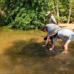 Near Darwin Territory Wildlife Park General Entry - The Value of Your Ticket