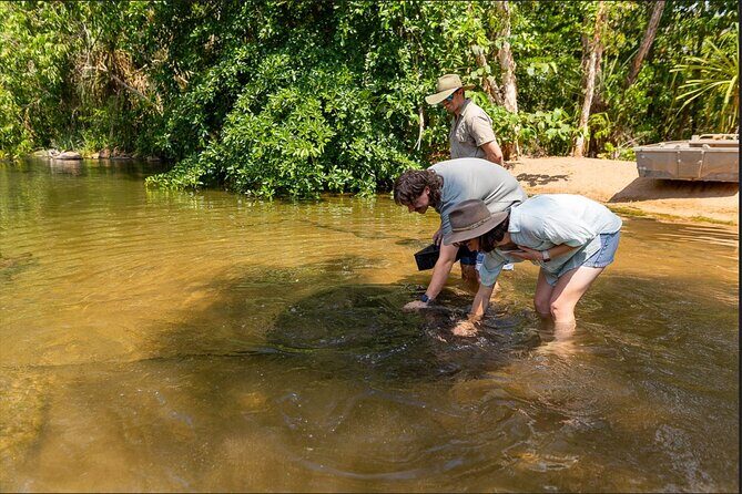Near Darwin Territory Wildlife Park General Entry - The Value of Your Ticket