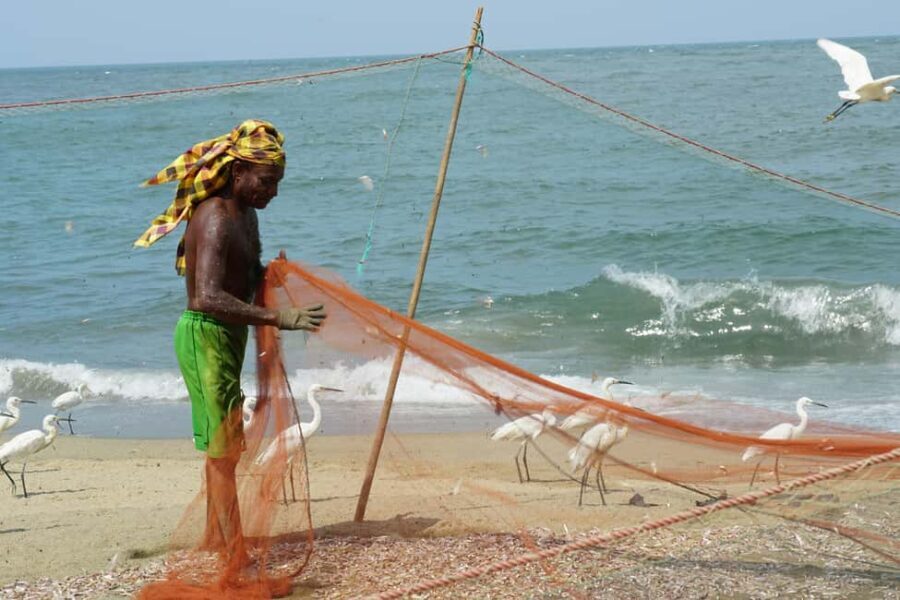 Negombo Private Tour: Market, Temples & Canal - Why the Guides Make the Difference