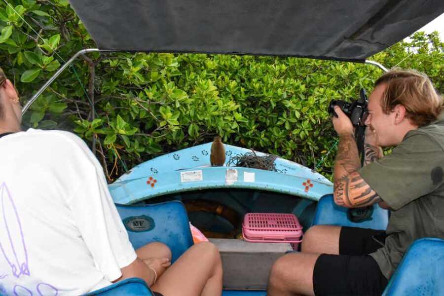 Negombo: Sunset lagoon boat tour with hotel transfers - Who Would Enjoy This Tour?