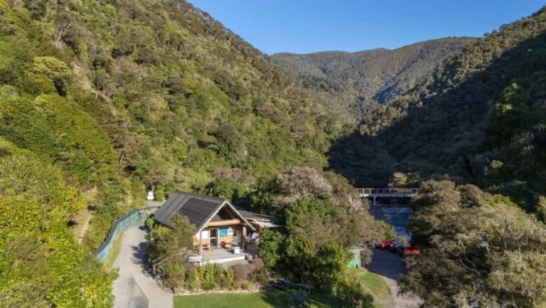 Nelson: Brook Waimrama Sanctuary Entry Ticket - What to Expect When You Visit