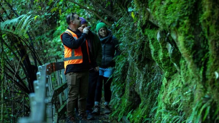 Nelson: Brook Waimrama Sanctuary Guided Night Walk - What to Expect During the Tour