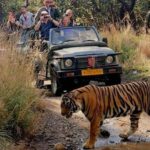 New Delhi: Jim Corbett National Park Safari (Tiger) Spotting - The Safari Zones: Where to Go
