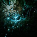 New Zealand: Starburst Cathedral in Milky Way Glowworm Cave - What to Expect During the Tour