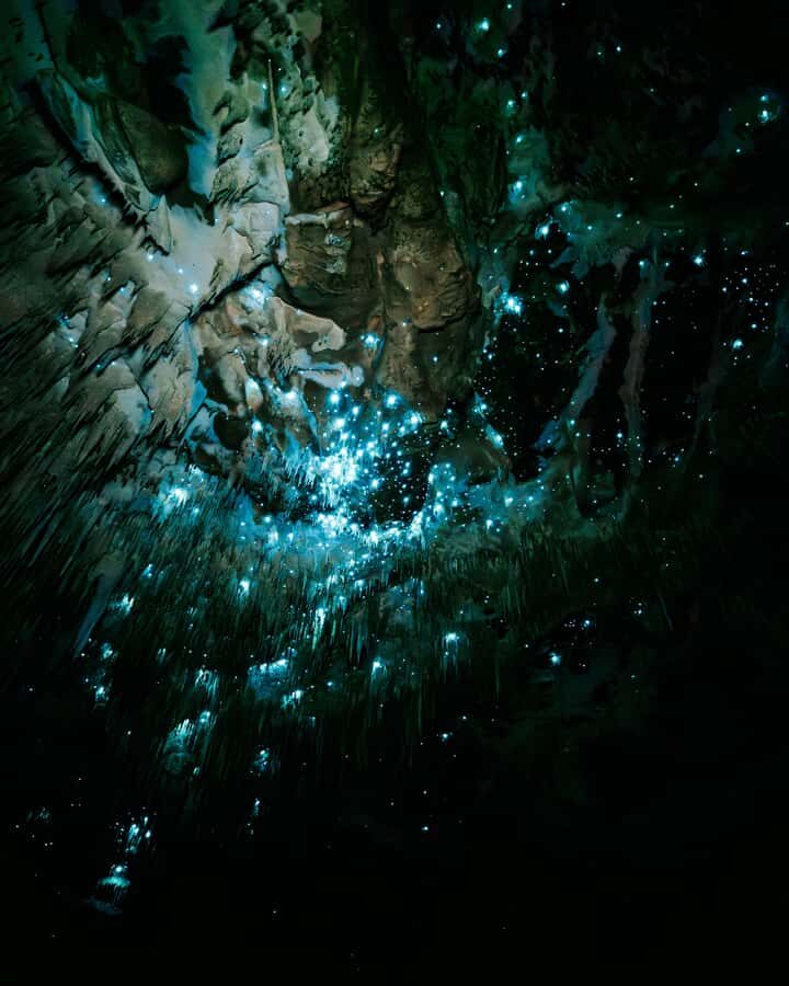 New Zealand: Starburst Cathedral in Milky Way Glowworm Cave - What to Expect During the Tour