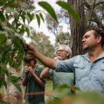 Ngilgi Cave Cultural Tour - The Itinerary in Detail