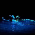 Nha Trang: Life Puppets Show Ticket at ó Theater - What is the ó Theater and Why It Matters