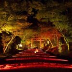Night Gagaku Concert at Hiyoshi Taisha Shrine - Who Will Love This Experience?